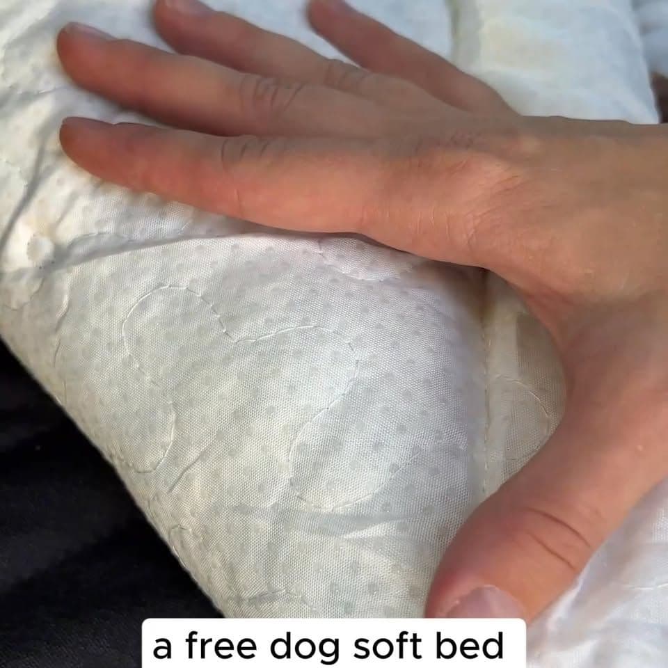 Minea | Trouve ton produit gagnant en 3 clics.